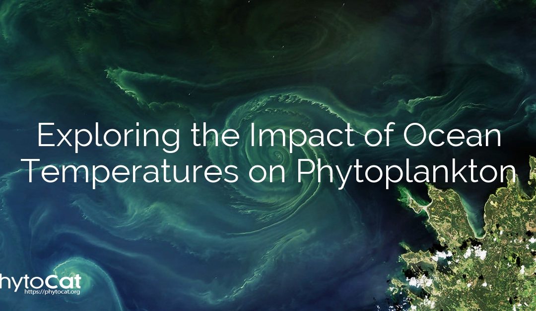 Exploring the Impact of Ocean Temperatures on Phytoplankton