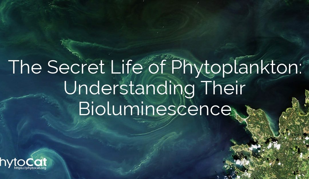 The Secret Life of Phytoplankton: Understanding Their Bioluminescence
