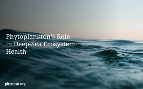 Marine Ecosystems: The Integral Role of Phytoplankton