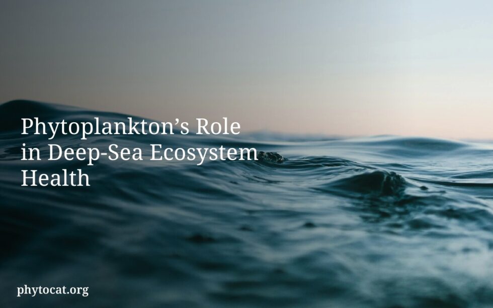 Marine Ecosystems: The Integral Role of Phytoplankton